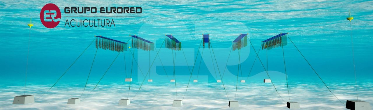 Grupo Eurored, seleccionada para instalar seis sistemas long line para ...